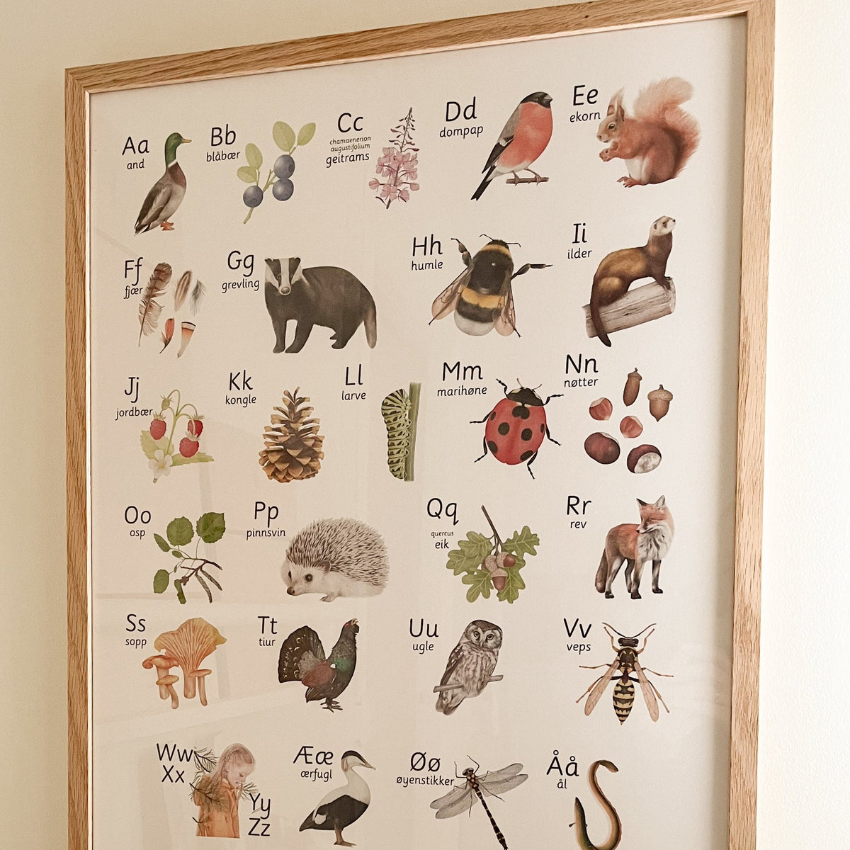 ABC plakat, alfabet plakat – lioglund