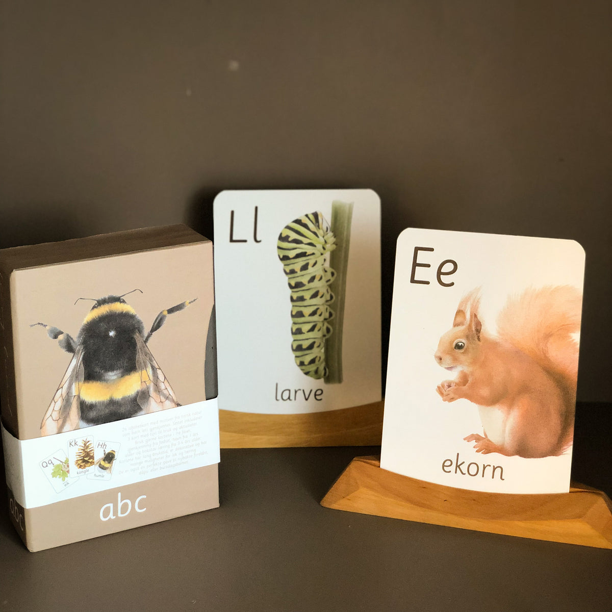 Alfabetkort – lioglund